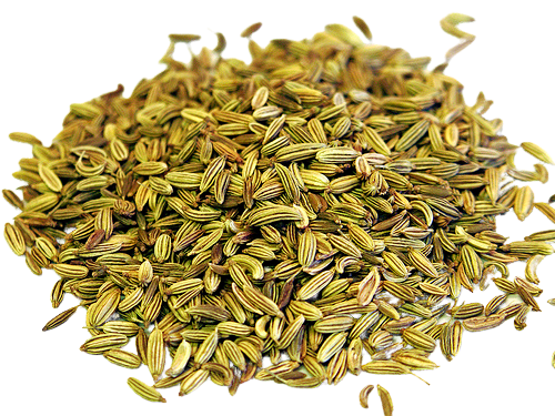Died Anise Oil Seed (Bulk) – Queen Tiye